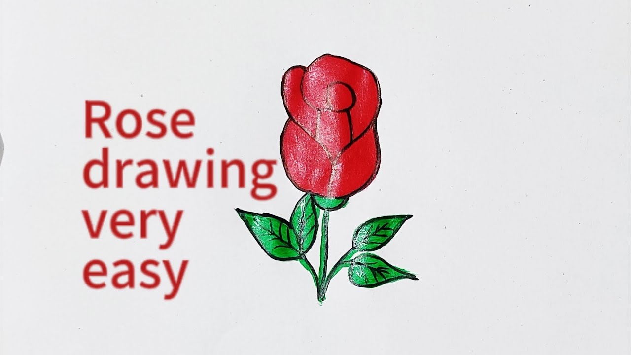 How to draw a Rose 🌹 flower drawing very easy step by step | Beautiful ...