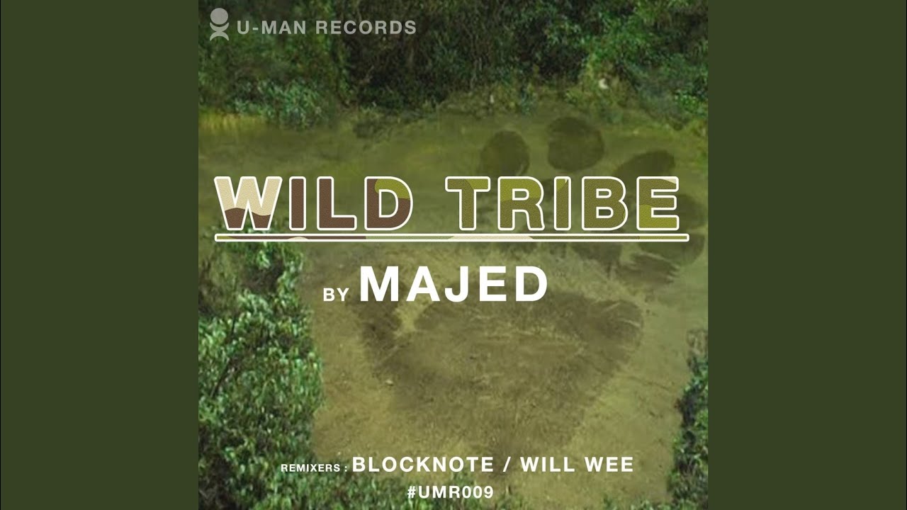 Wild Tribe (Will Wee Remix) - YouTube