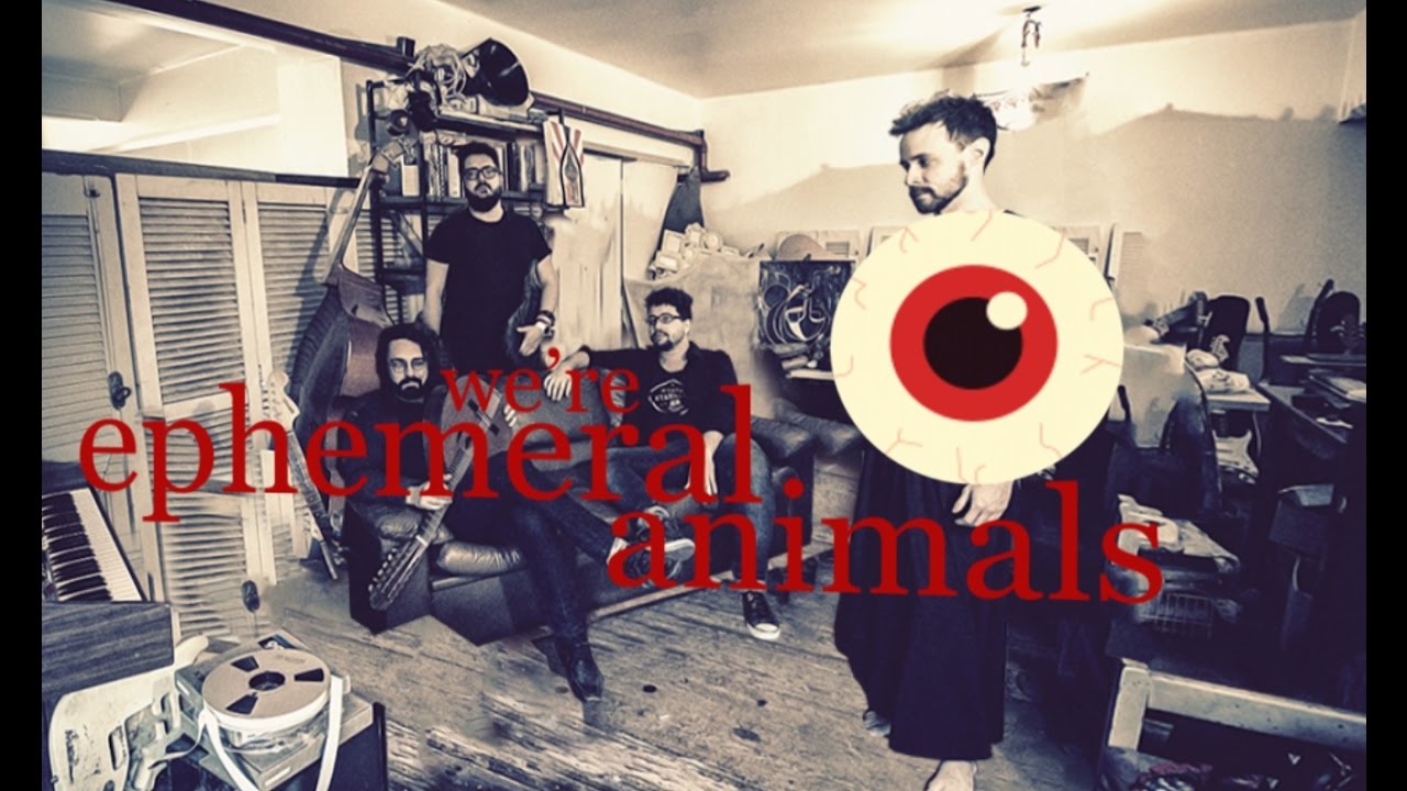 Nobs - Ephemeral Animals (lyric video) - YouTube