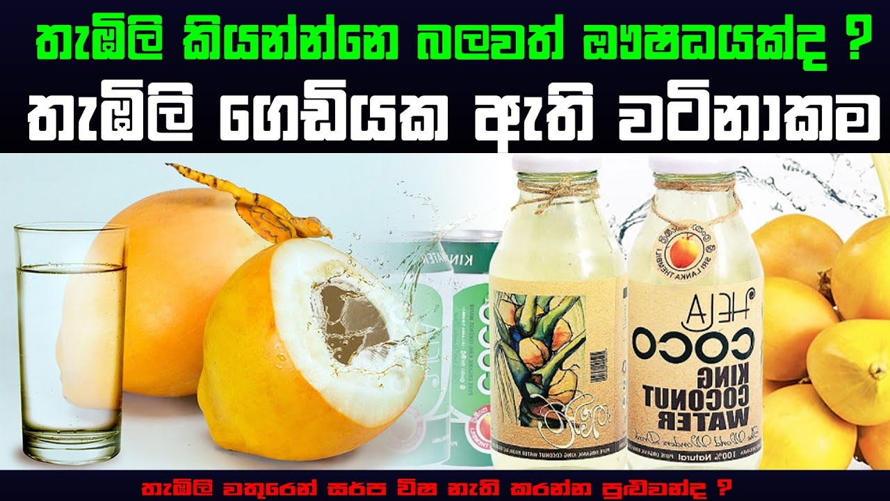 තැඹිලි ගෙඩියක ඇති වටිනාකම ඔබ දන්නවාද? | Thabili - YouTube