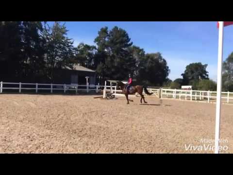 Geneva jump training hill house