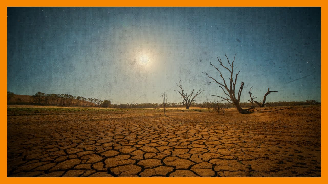 | DROUGHT AND HUNGER | 12 counties on drought alert with two million ...