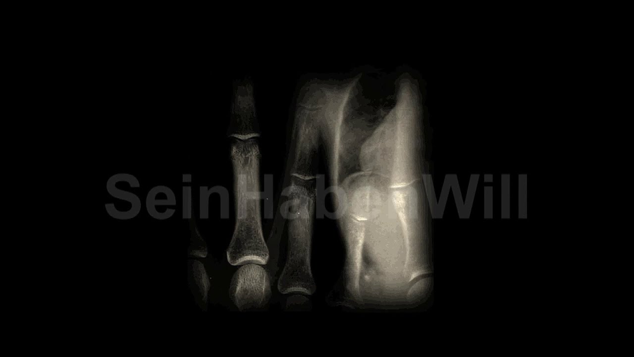 SeinHabenWill / Safi feat. Robert Soujon - YouTube