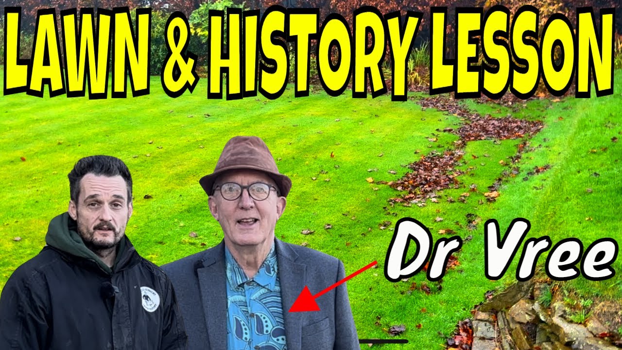 Home - Daniel Hibbert Lawn Expert