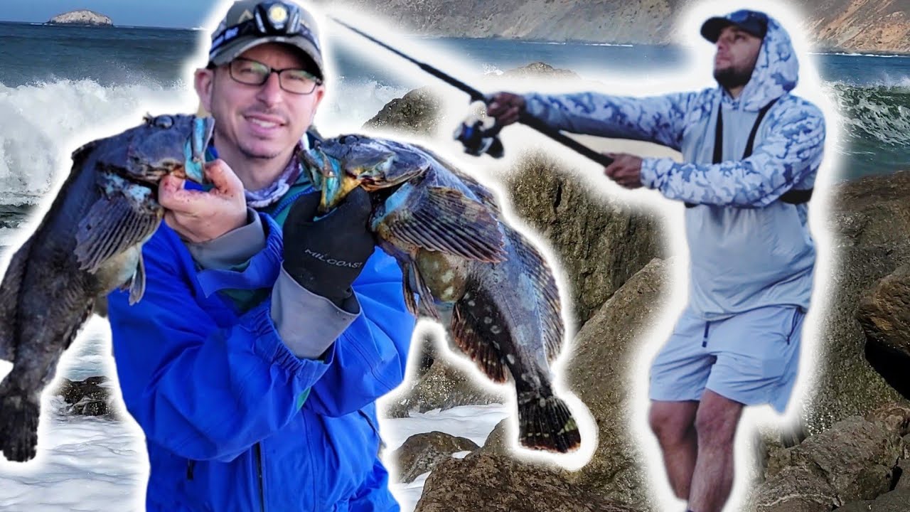 HOW TO Tie A Bait Dropper Loop RIG For Rock Fishing From Shore MONSTER ...