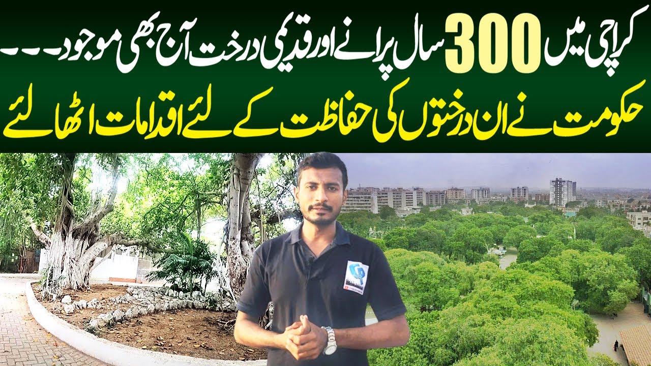 Most Old Trees in Karachi || Karachi Zoo || Banyan trees || Bargad Tree ...