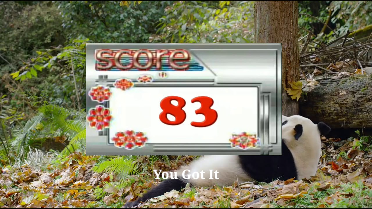 score 83 bgv animals - YouTube