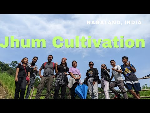 Jhum Cultivation in India, What is Jhum cultivation ? # ...