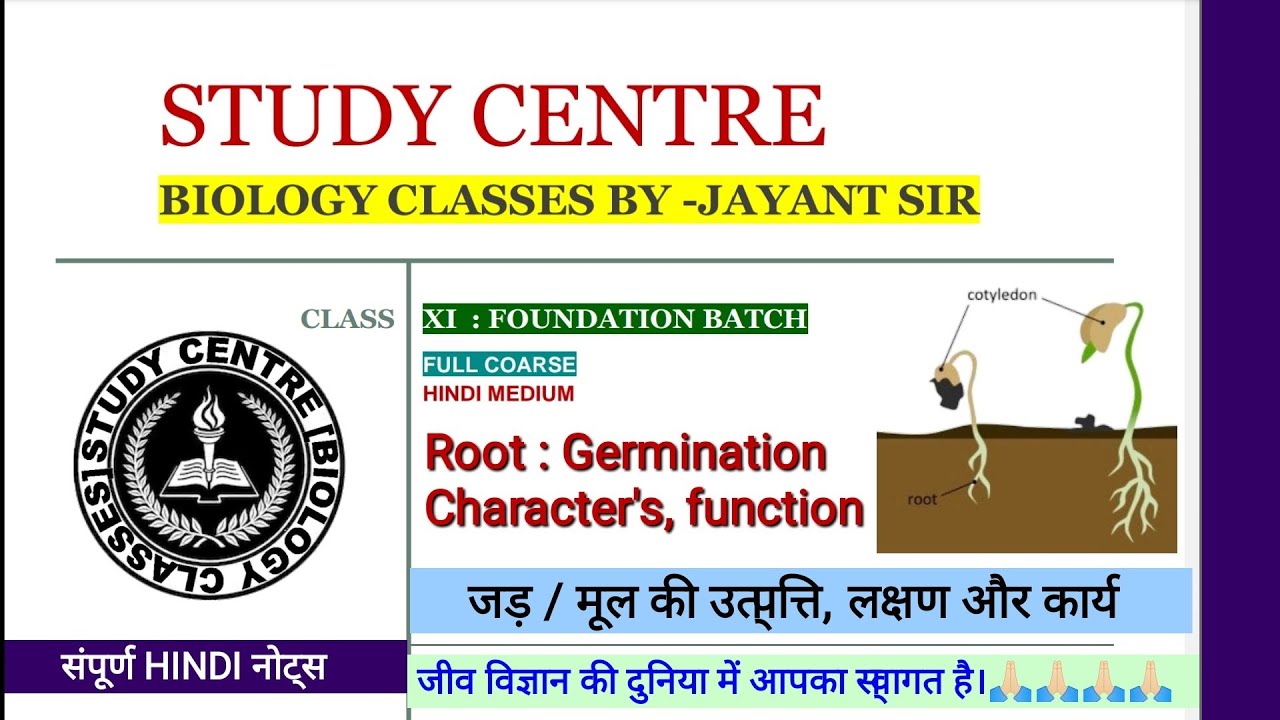 function of root - YouTube