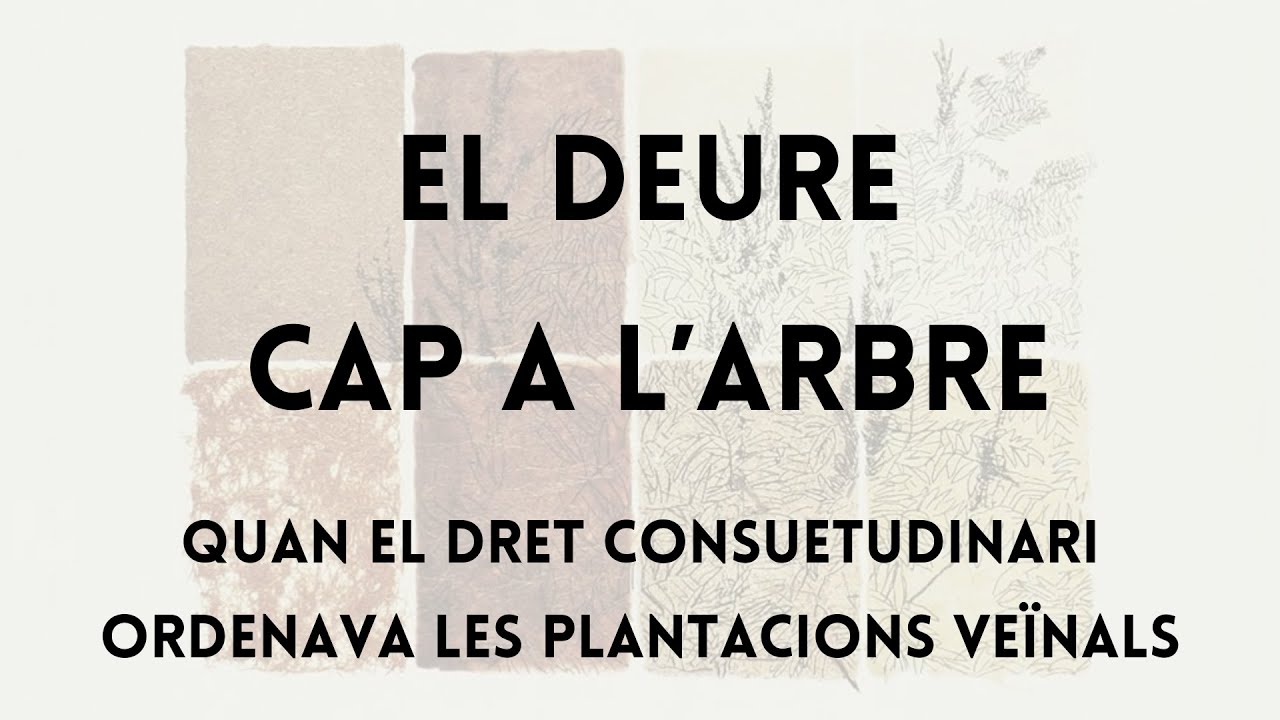 El DEURE cap a l'ARBRE. Quan el dret consuetudinari ordenava les ...