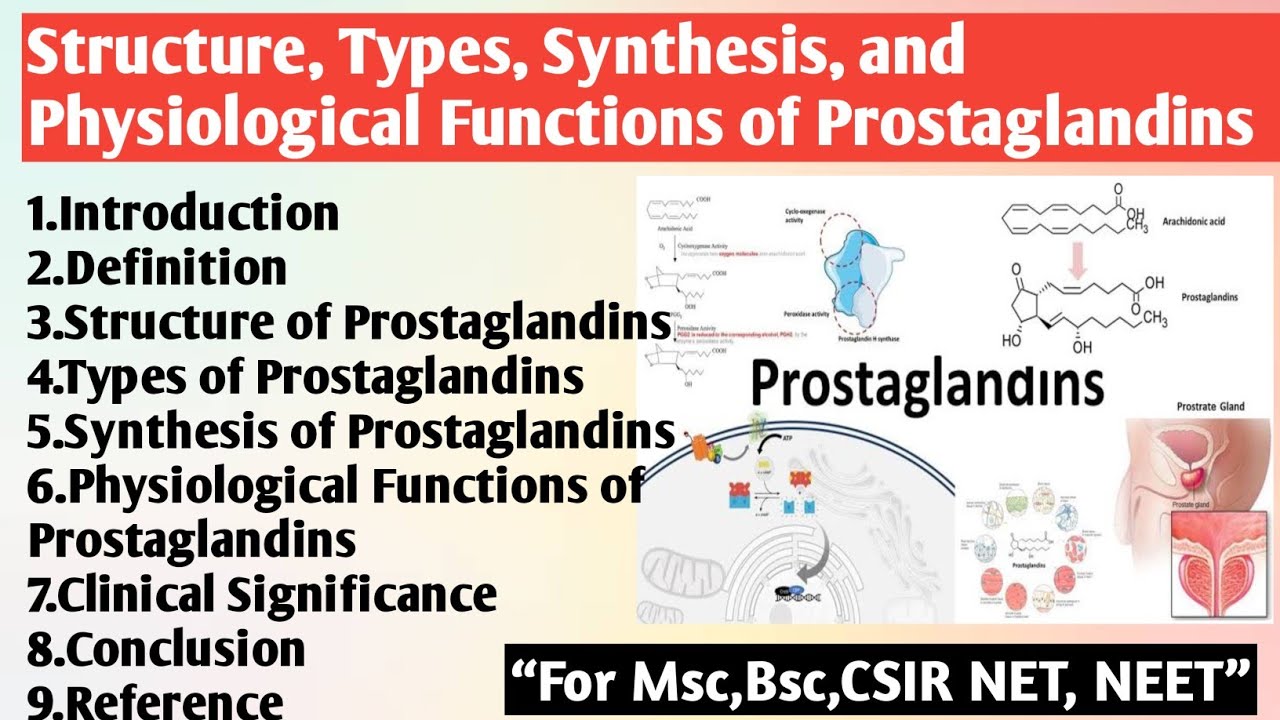Physiological Functions of Prostaglandins | Prostaglandins | Structure ...