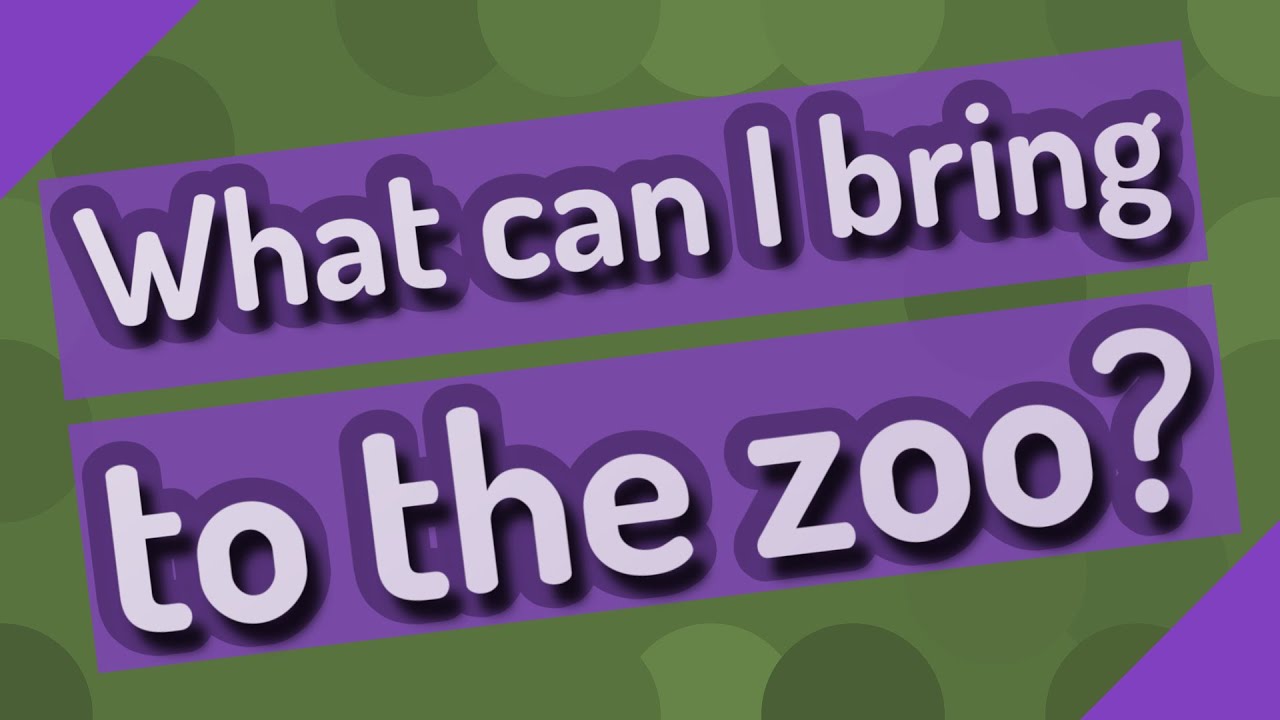 What Can I Bring To The Zoo YouTube what-can-i-bring-to-the-zoo-youtube