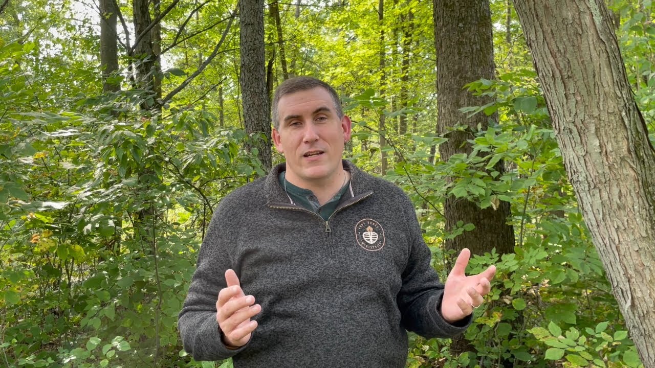 Taste of Camp Table Host Invitation - YouTube