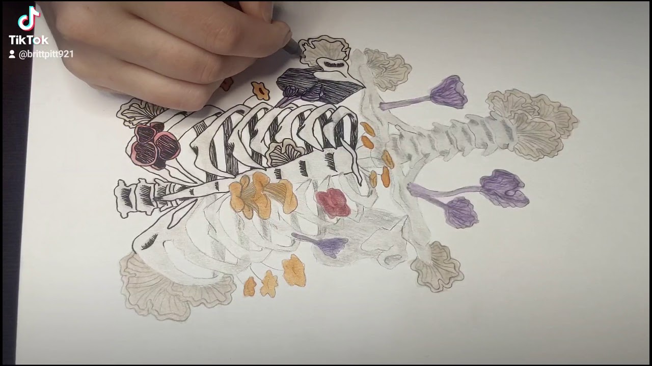 skeleton mushroom art - YouTube