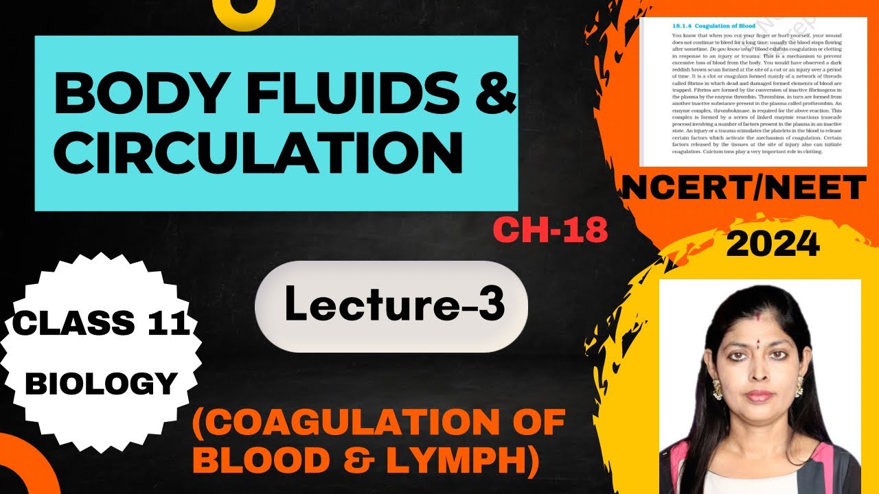 Body Fluids & Circulation 03 ll Coagulation of Blood & Lymph # ...