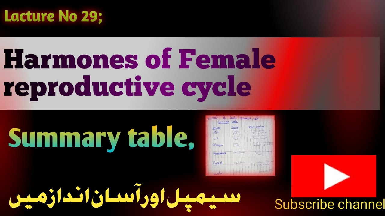 Female Reproductive Hormones Explained | Menstrual Cycle Hormones Table ...
