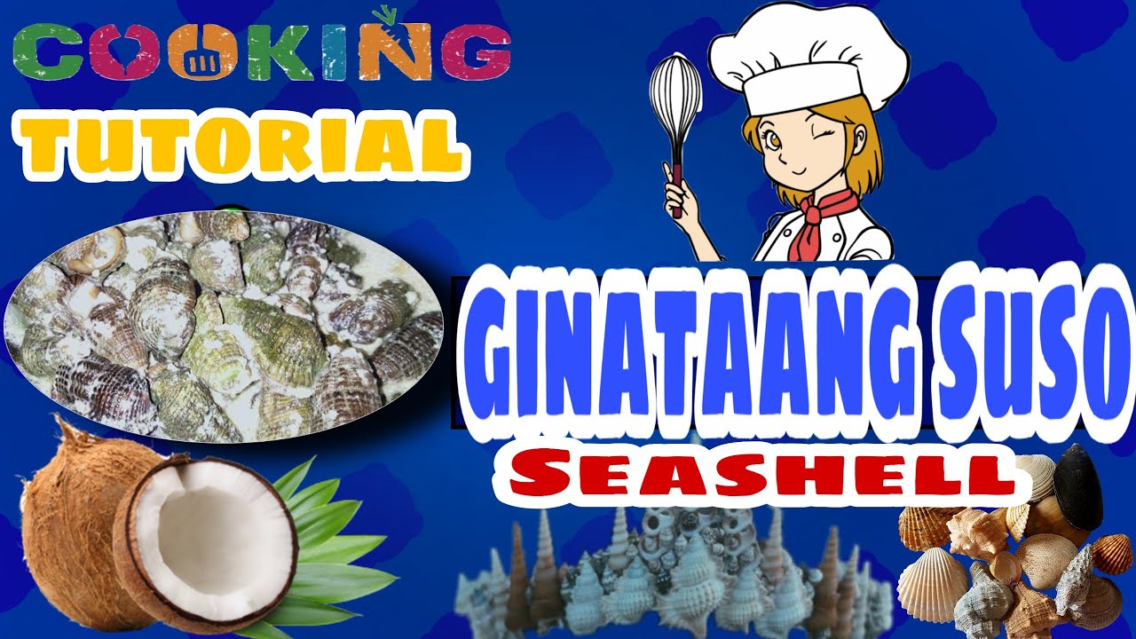 HOW TO COOK GINATAANG SUSO SEASHELL WITH COCONUT MILK - YouTube