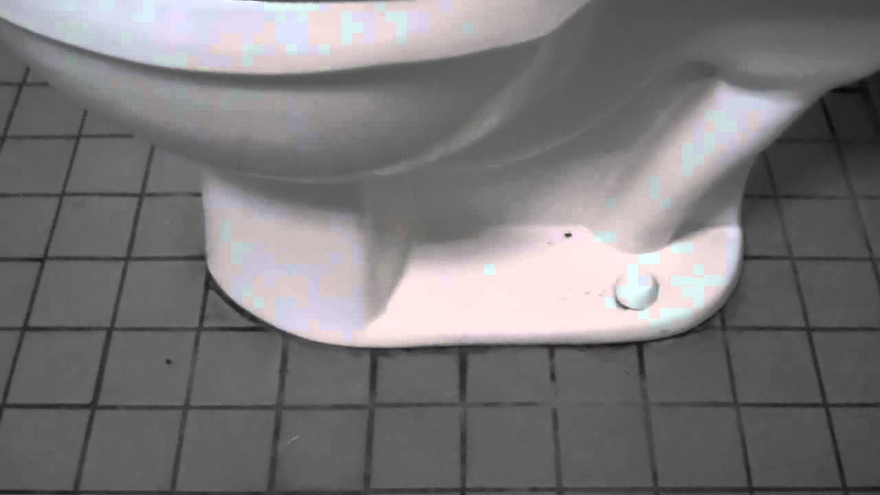 4022: Comfort Height Mid-Late 1990's Eljer Signature Floor Mounted ...