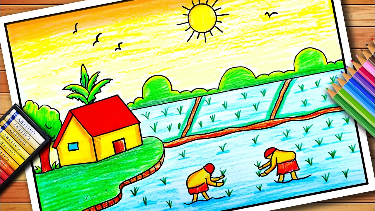 Paddy Field with Farmer Scenery Drawing | Village Scenery Drawing ...