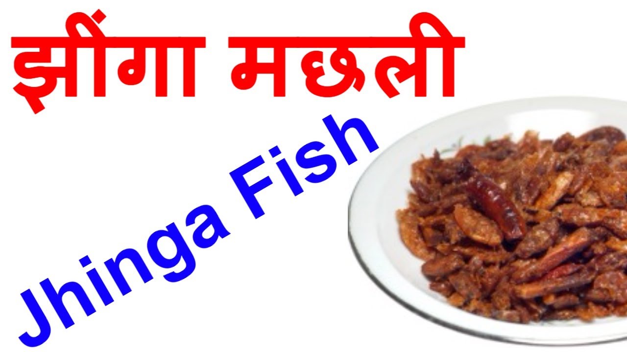 Zhenga Fish | Jhinga Fish | Prawn | झींगा मछली - YouTube