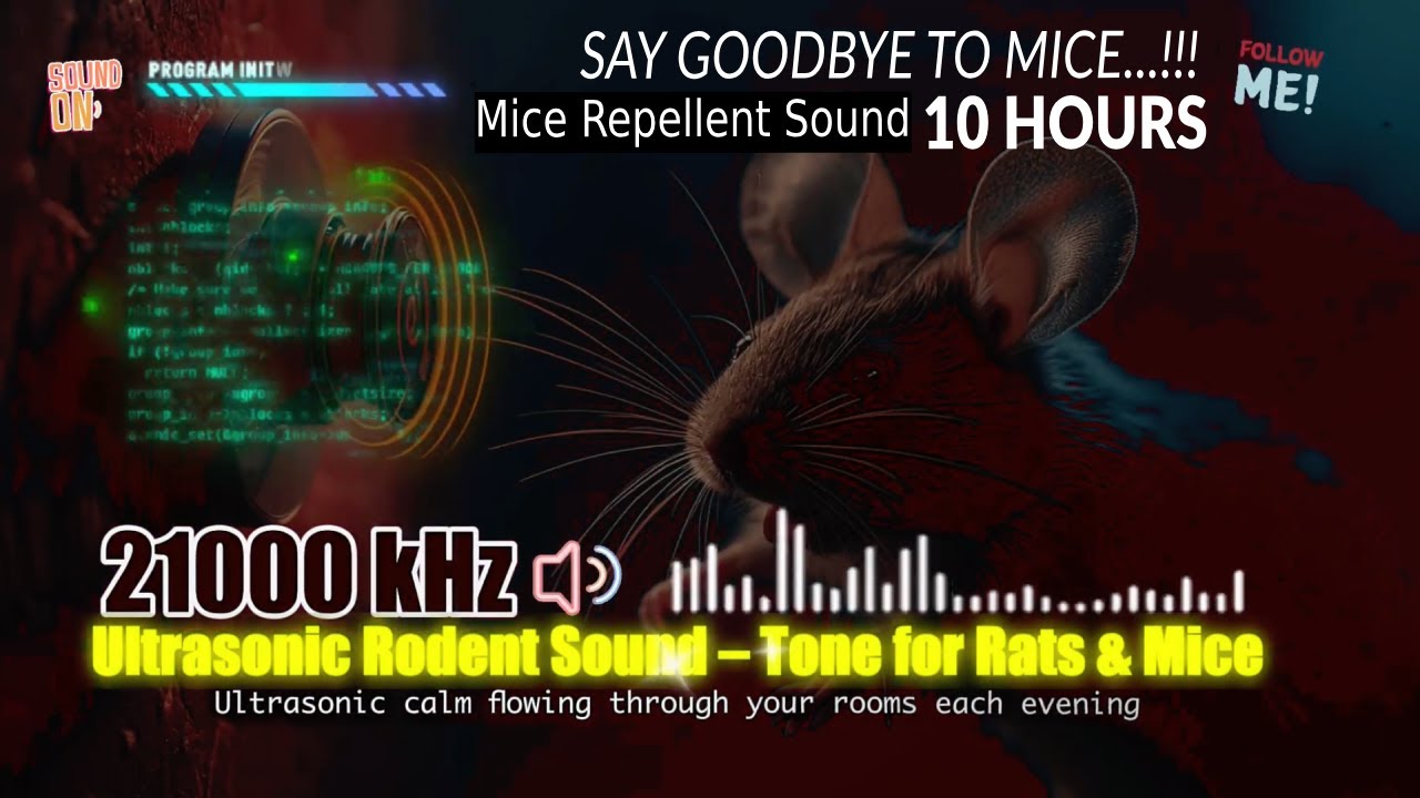 🔊 Ultrasonic Rodent Sound – High Frequency Tone for Rats & Mice - YouTube