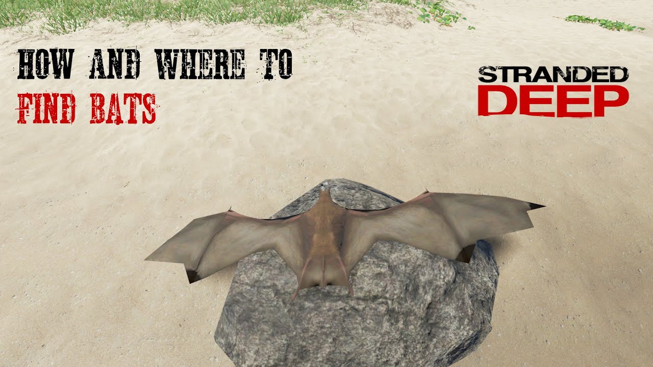 Killing Bats In Stranded Deep? I'll Show You Where To Find Them And How ...