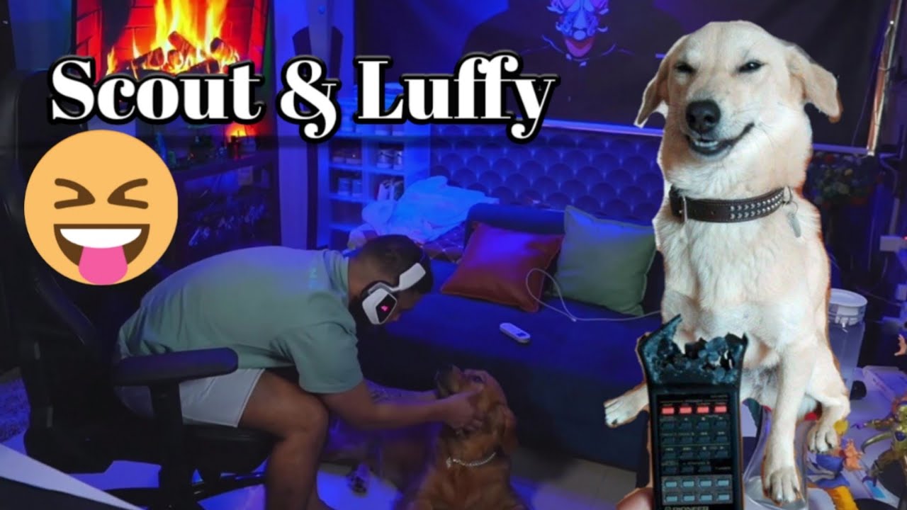 Scout and his dog Luffy || soulScout talking about his dog Luffy.#scout ...
