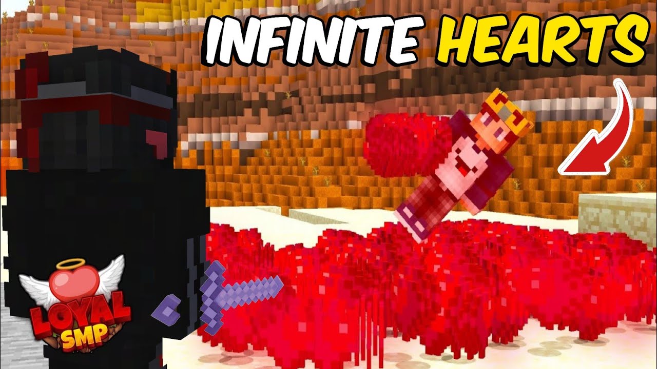 I Duped Infinite Hearts In this Loyal smp - YouTube