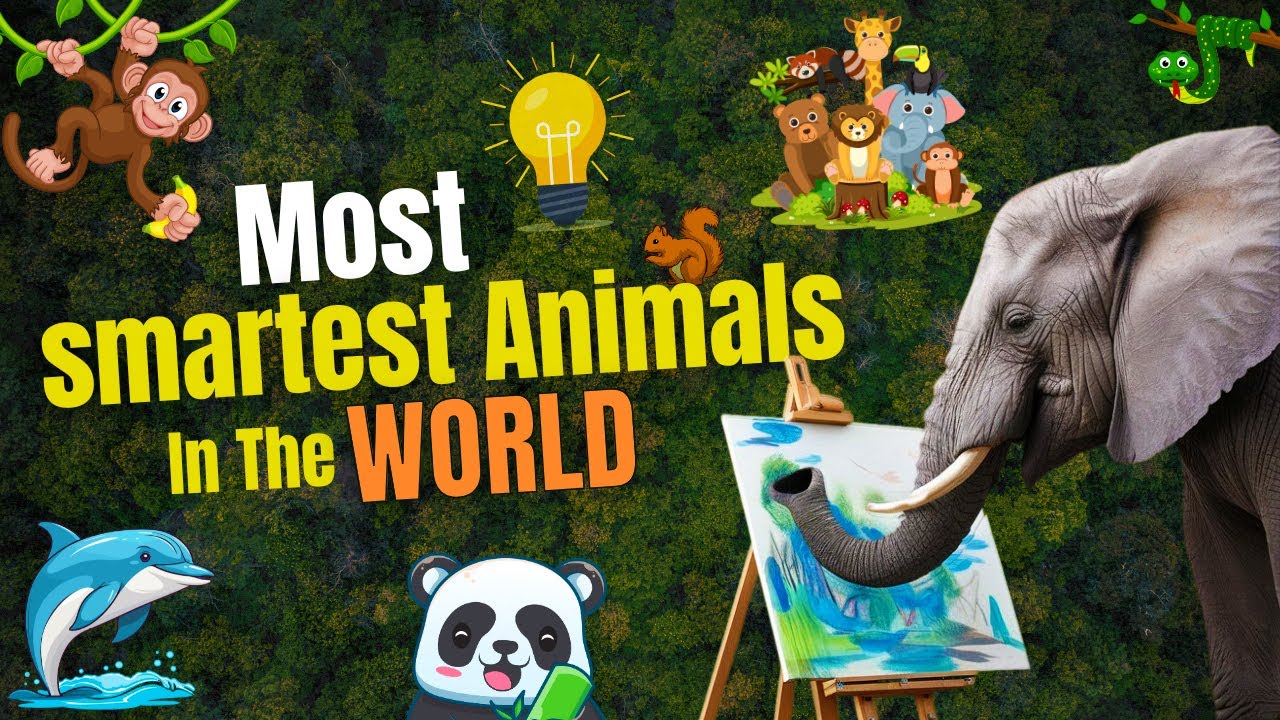 Top 5 Smartest Animals Alive in the World | Can Animals Outsmart Humans ...