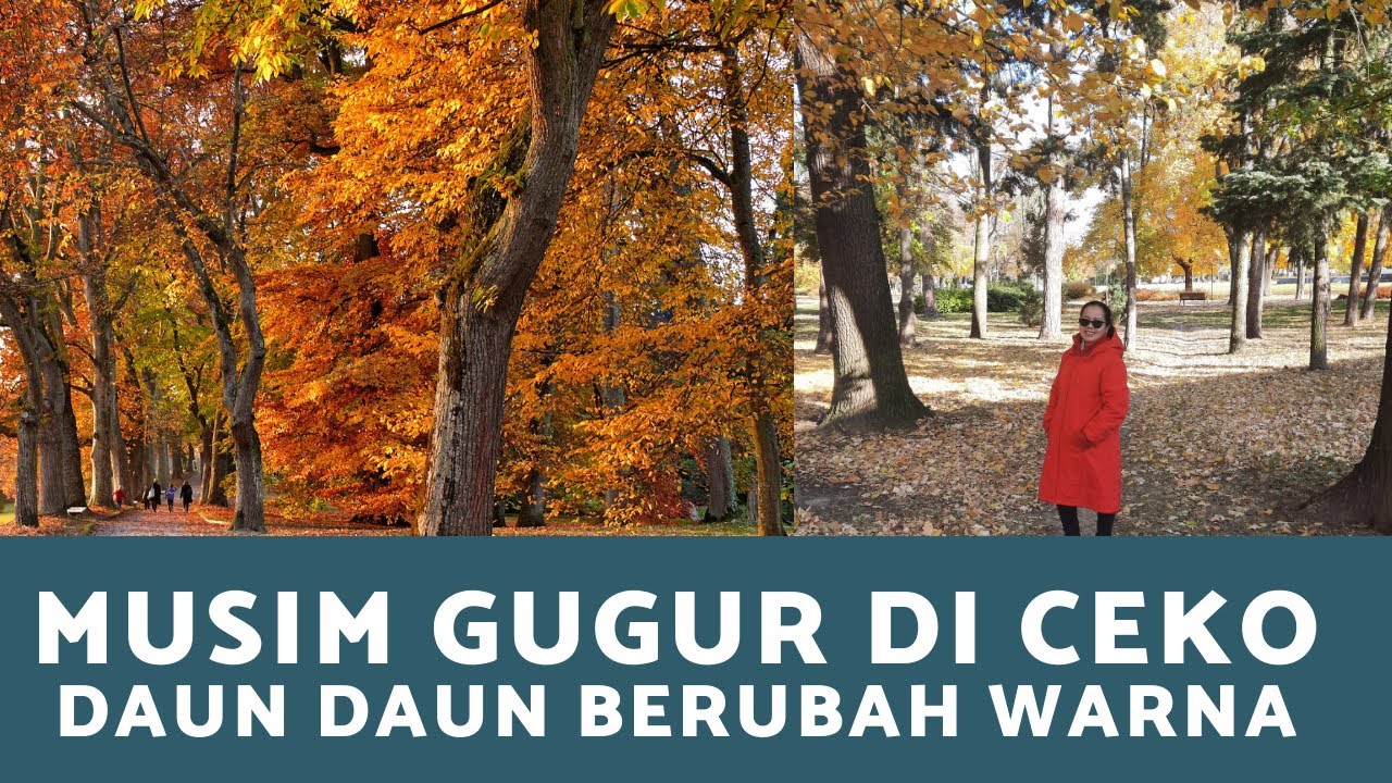 SEPERTI APA AUTUMN ( MUSIM GUGUR ) DI CEKO - YouTube