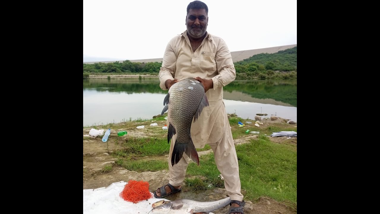 Kaka Ustad Fishing Nice Fish Hunting | Mangla Dam Fishing Group | Tahir ...