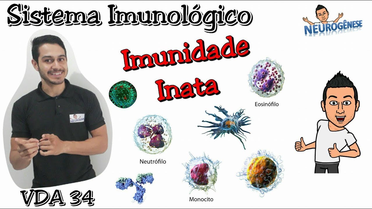 Sistema Imunológico - Imunidade Inata - Vídeo Aula 34 - YouTube