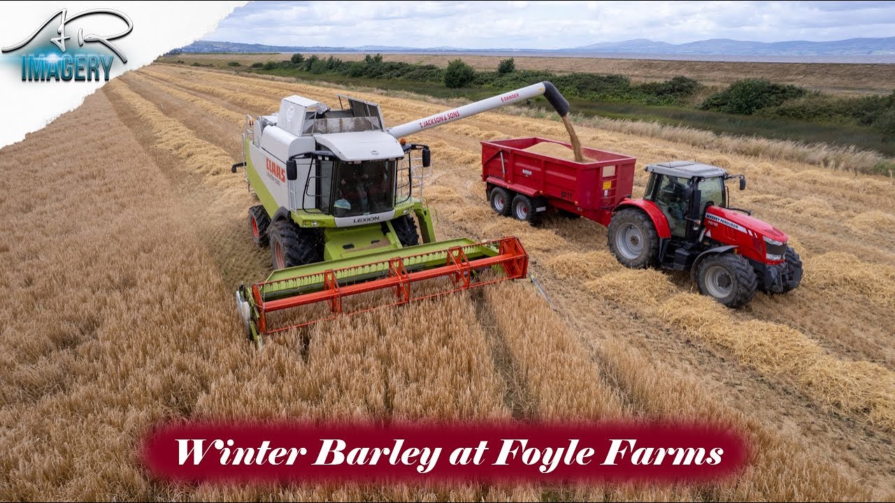 Folye View Farms winter barley harvest - YouTube