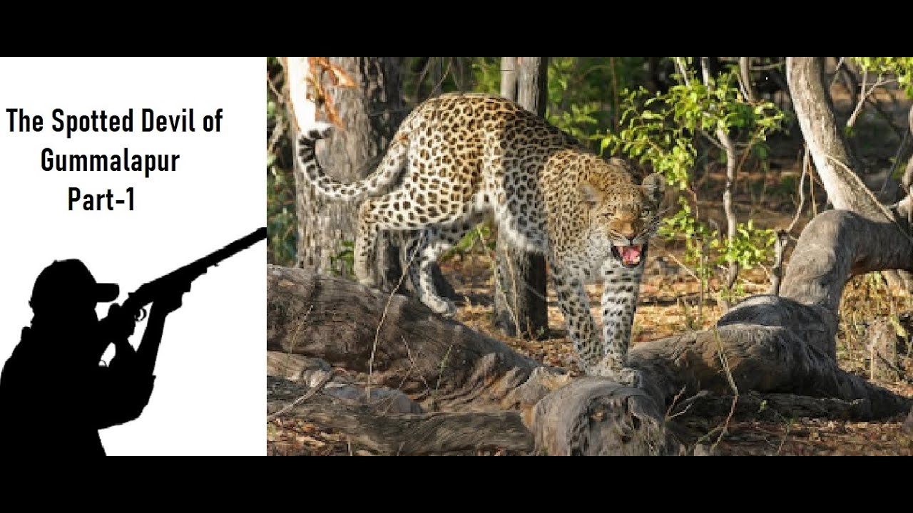 The Spotted Devil of Gummalapur by Kenneth Anderson | Adventure ...