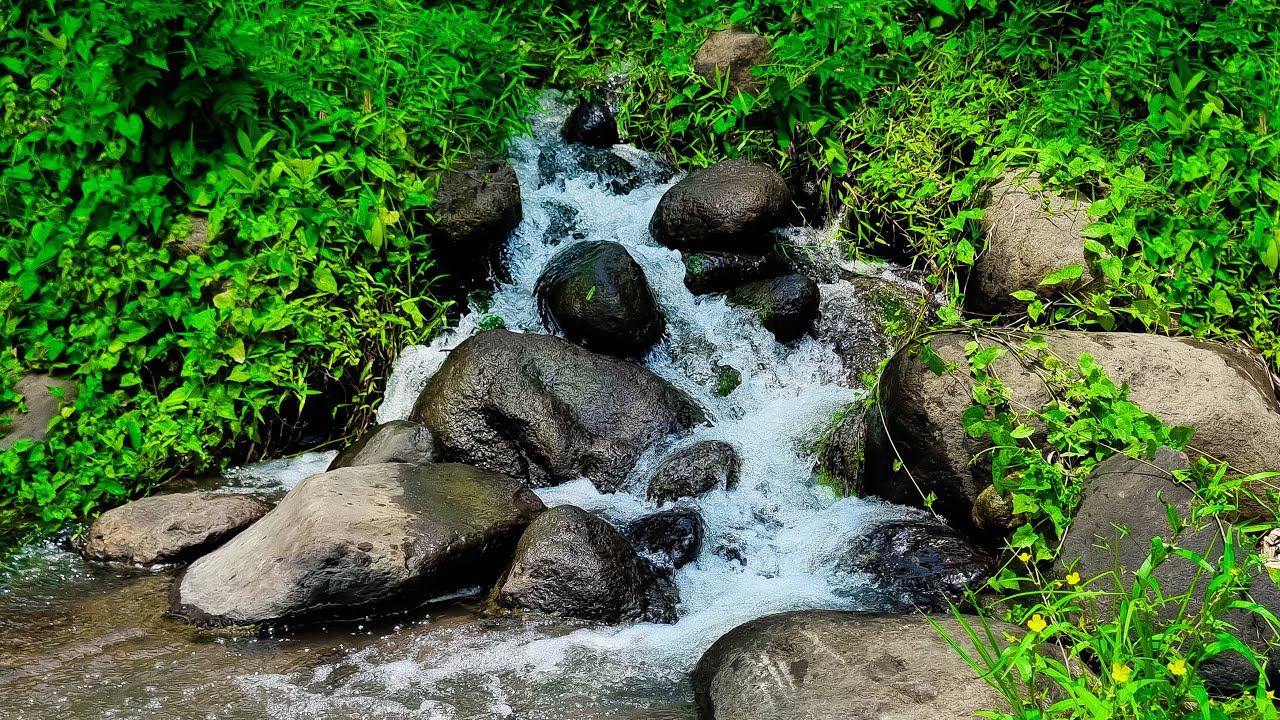 Ultimate Meditation Practice by Small Water Cascade of Refreshing ...