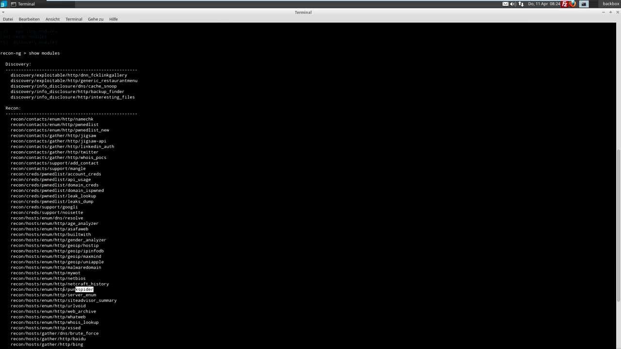 Find vulnerable Websites with Recon-ng and Punkspider - YouTube
