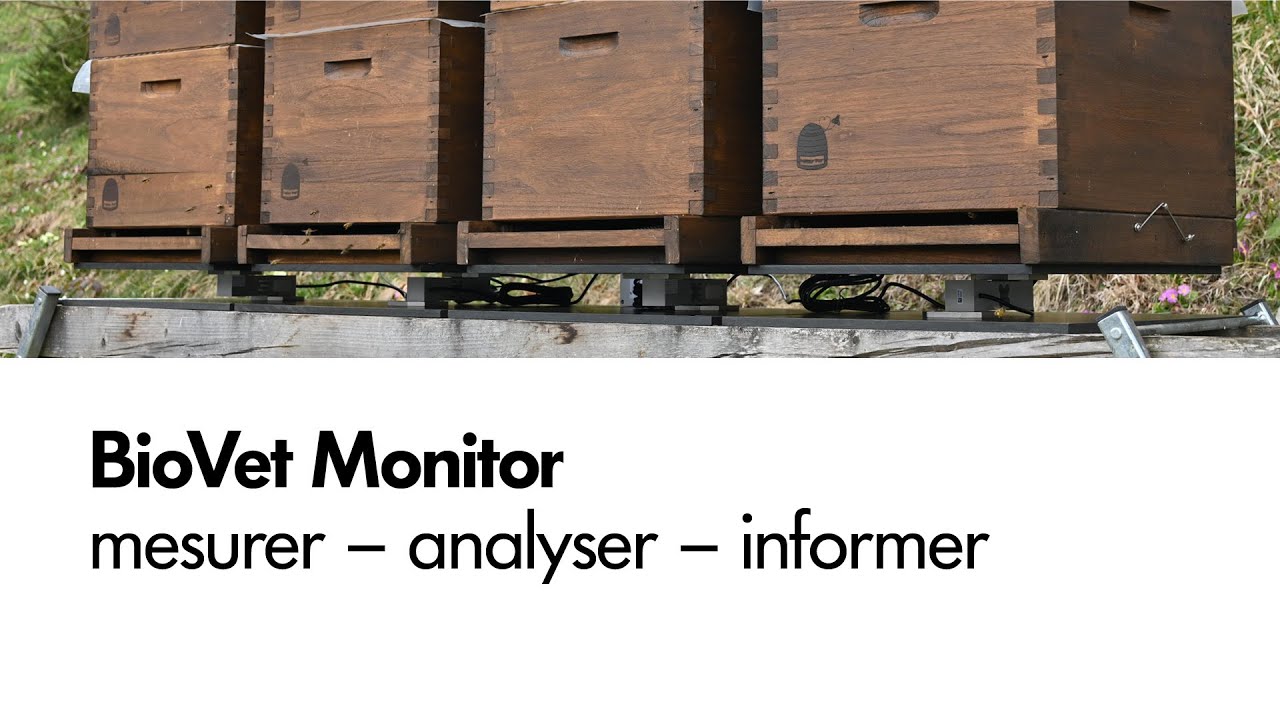 BioVet Monitor, un système de balance - YouTube