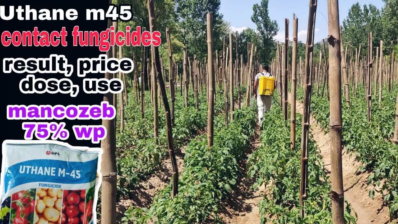 upl m45 | uthane m45 | mancozeb 75%wp | contact fungicide ...