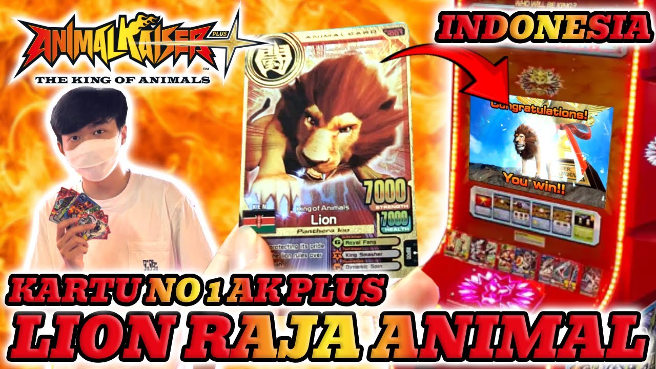 KITA PAKAI KARTU NO 1 🦁 DI ANIMAL KAISER PLUS THE LION KING OF ANIMALS !!! - AK PLUS INDONESIA ...