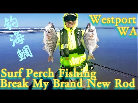 Washington Westport Surf Perch Fishing！Seattle Beach Treval Vacation ...