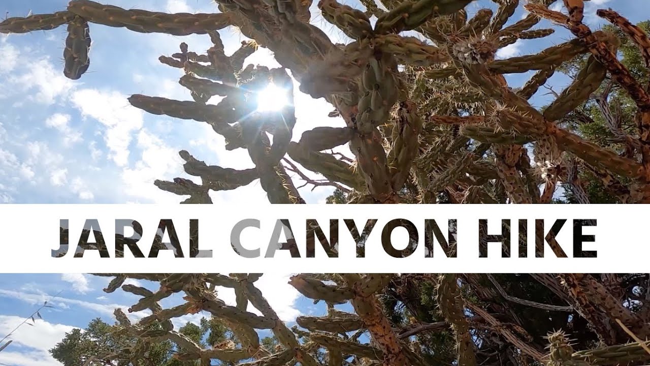 Jaral Canyon Trail – Things to do in Albuquerque, New Mexico - YouTube