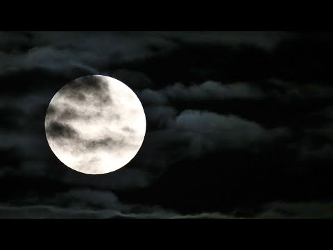 The Watcher / Zombie Realities / Pisces Constellation Channeling - YouTube