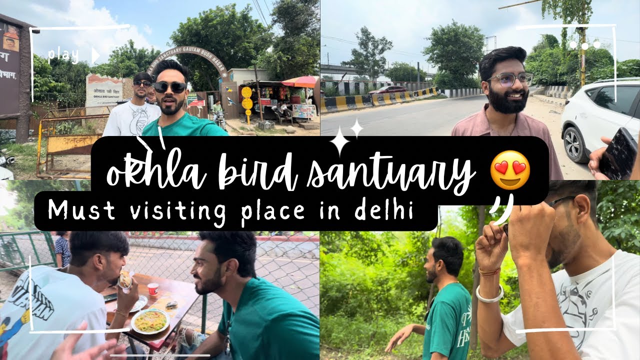 Best place to visit || bird santuary Okhla 😍 - YouTube