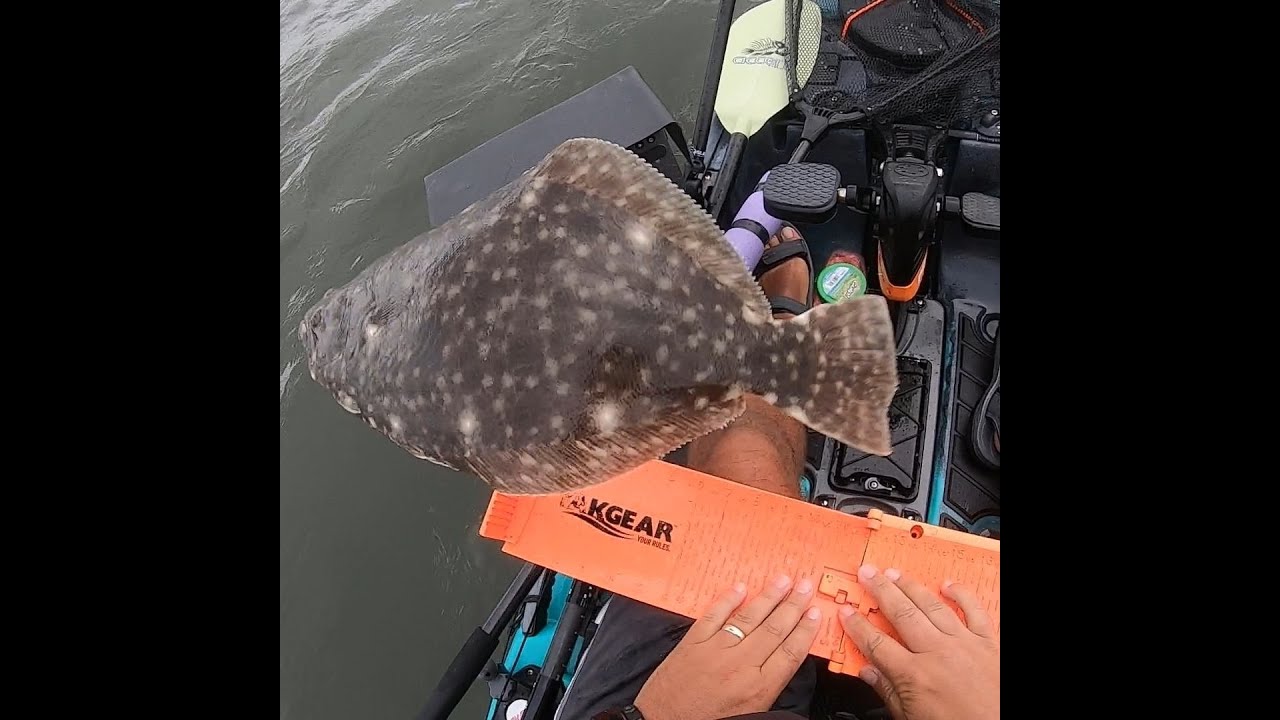 New Jersey Flounder Fishing - Fluke Escape - #shorts - YouTube