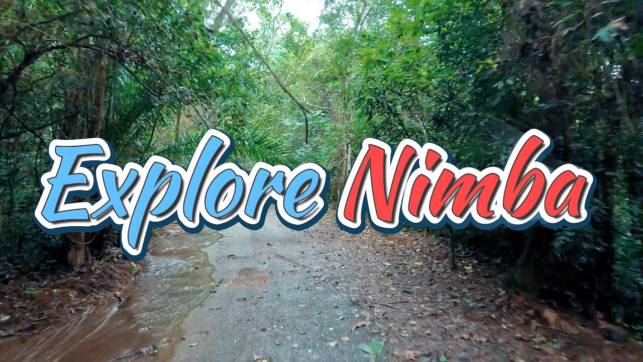 Liberia’s Mount Nimba : Nimba County, Liberia West Africa. - YouTube