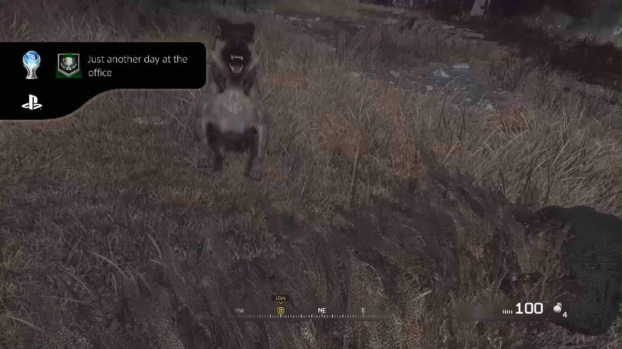 Call of Duty: Modern Warfare Remastered Platinum #trophyhunter - YouTube