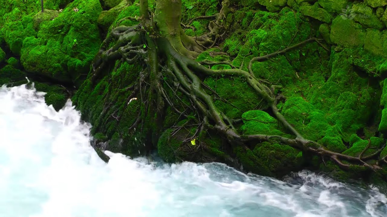 Relaxing Rapid Stream Sounds. (10 hours) White Noise for Sleep . - YouTube