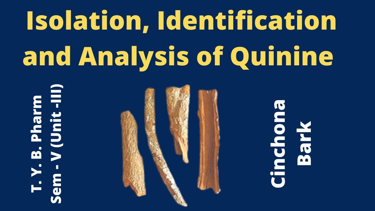 Isolation & analysis of Quinine (Cinchona Bark) Pharmacognosy - YouTube