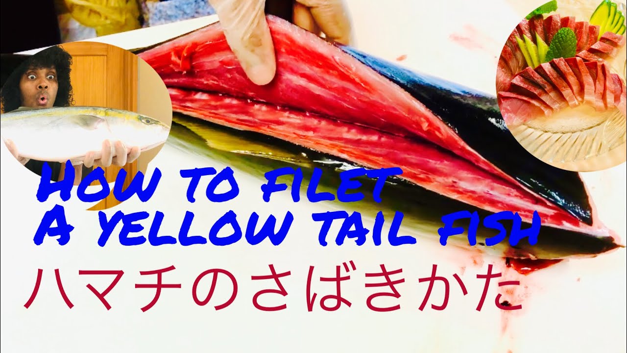 How to filet a fish according to the Japanese stile. Today is Yellow ...