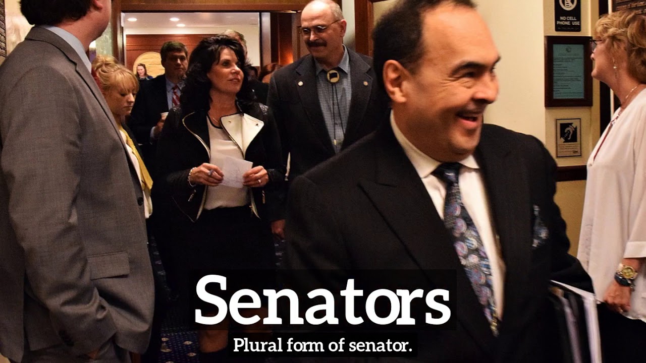 What is Senators? | How Does Senators Look? | How to Say Senators in ...